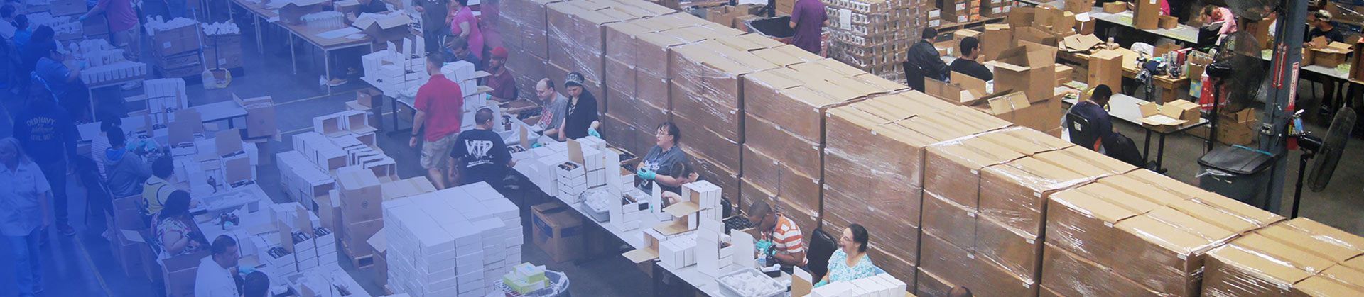 VIP Solutions, Inc. : Who We Are