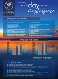 VIP Solutions, Inc. : Annual Reports