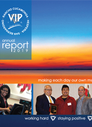 VIP Solutions, Inc. : Annual Reports